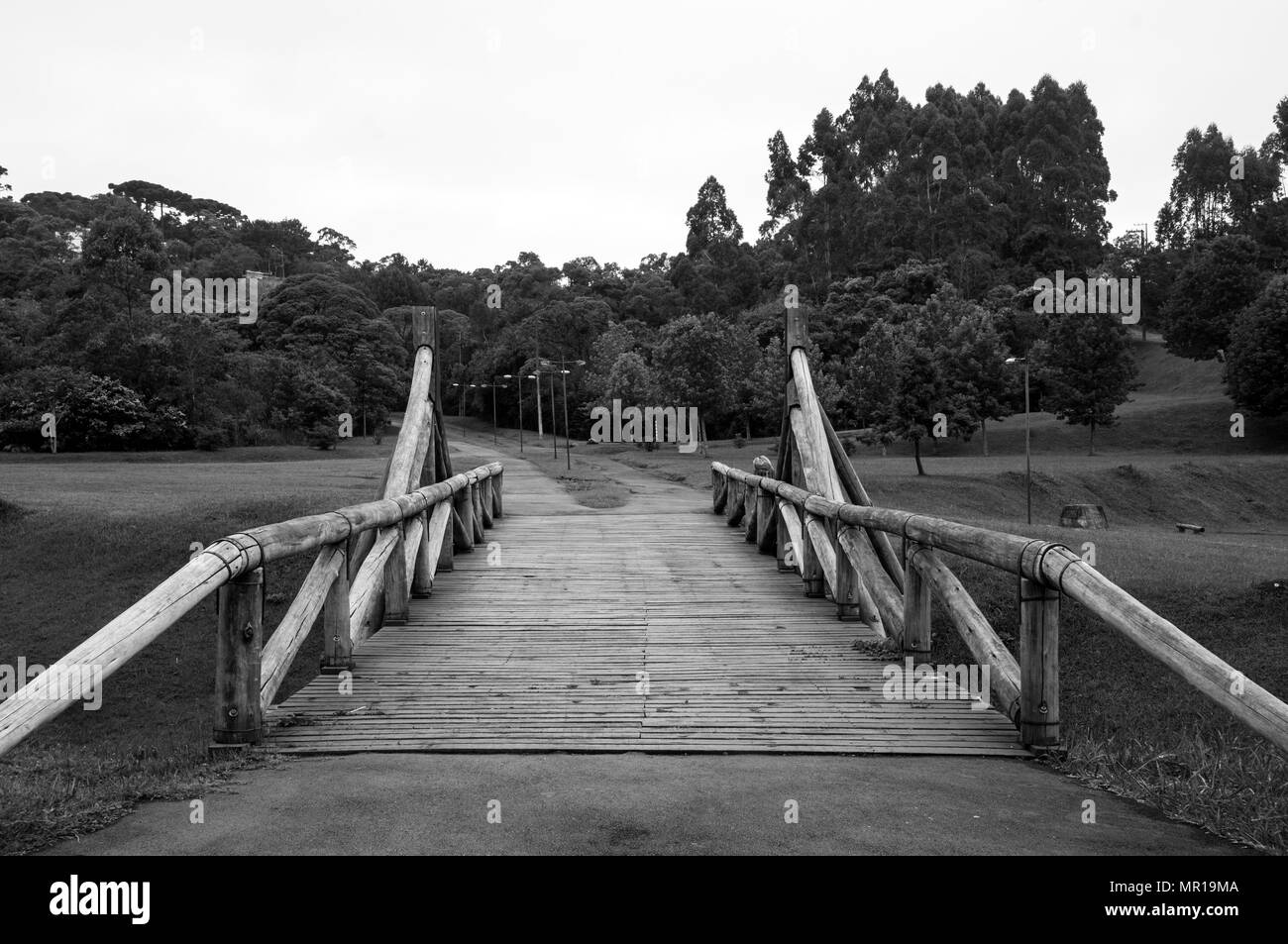 wooden trunk bridge Tangua park Brazil trail grass vegetation black ...