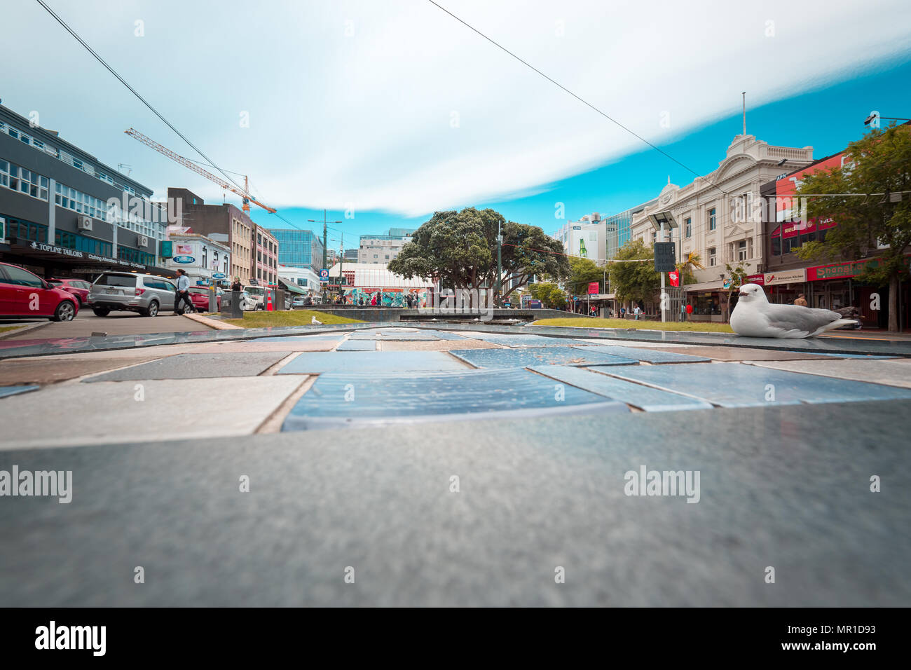 City street of Wellington, NZ Stock Photo - Alamy