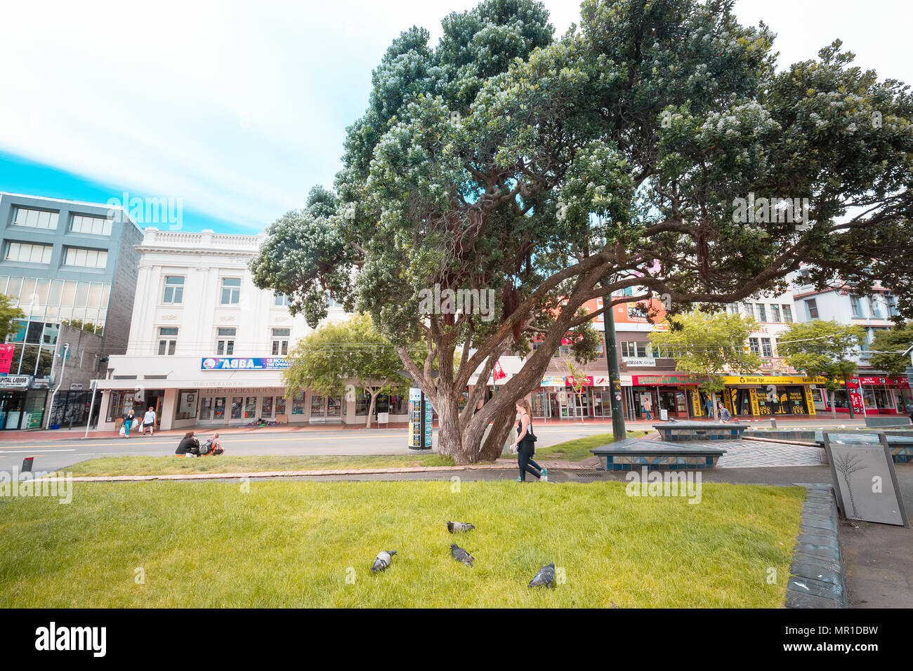 City street of Wellington, NZ Stock Photo - Alamy