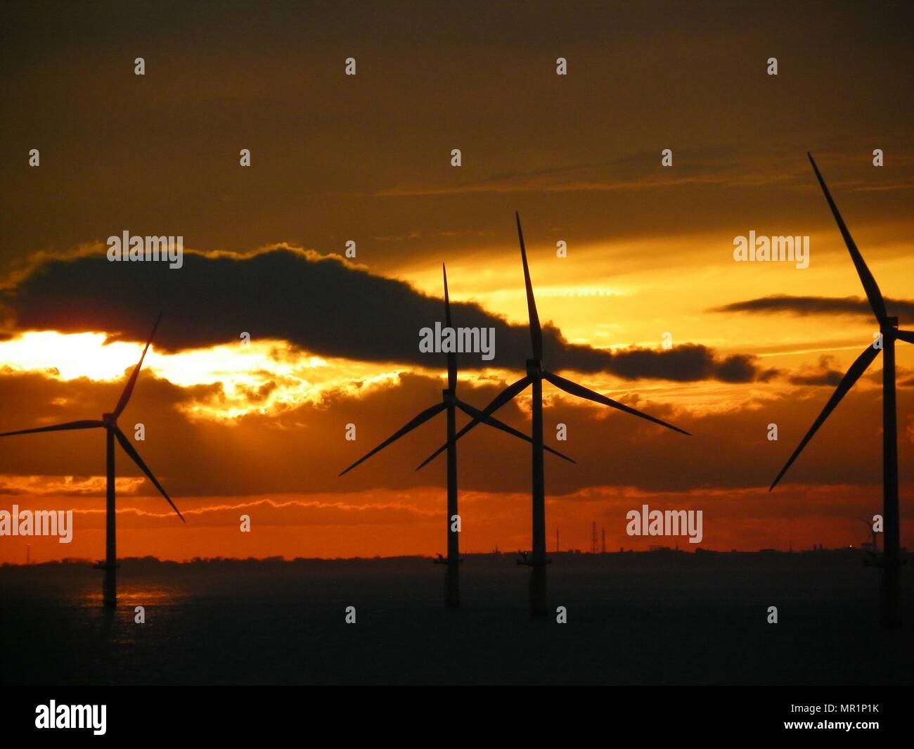 sailing into The Humber Estuary past the Out Newton wind farm as the ...
