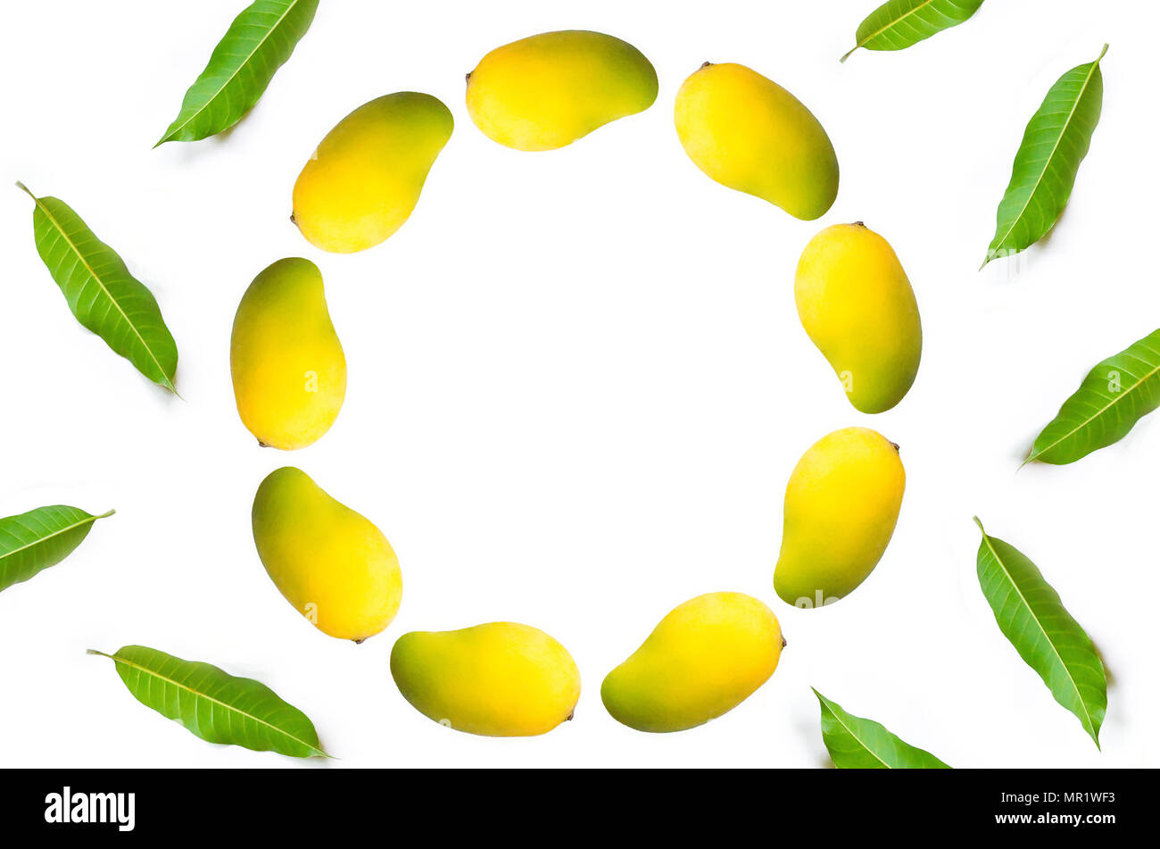 Mango Leaves Border
