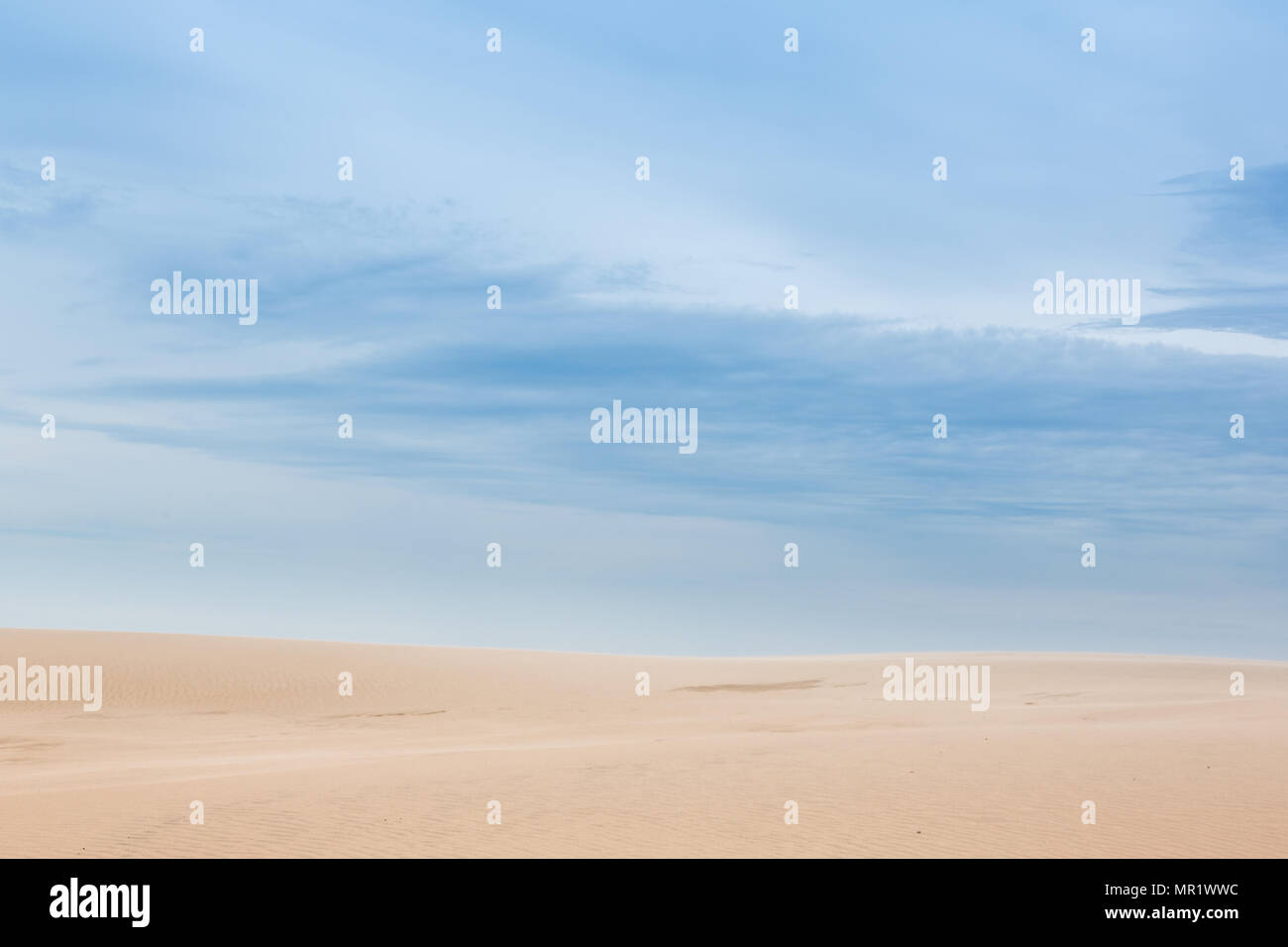 Moving dunes near Leba, Poland. The dunes are the largest dunes in ...