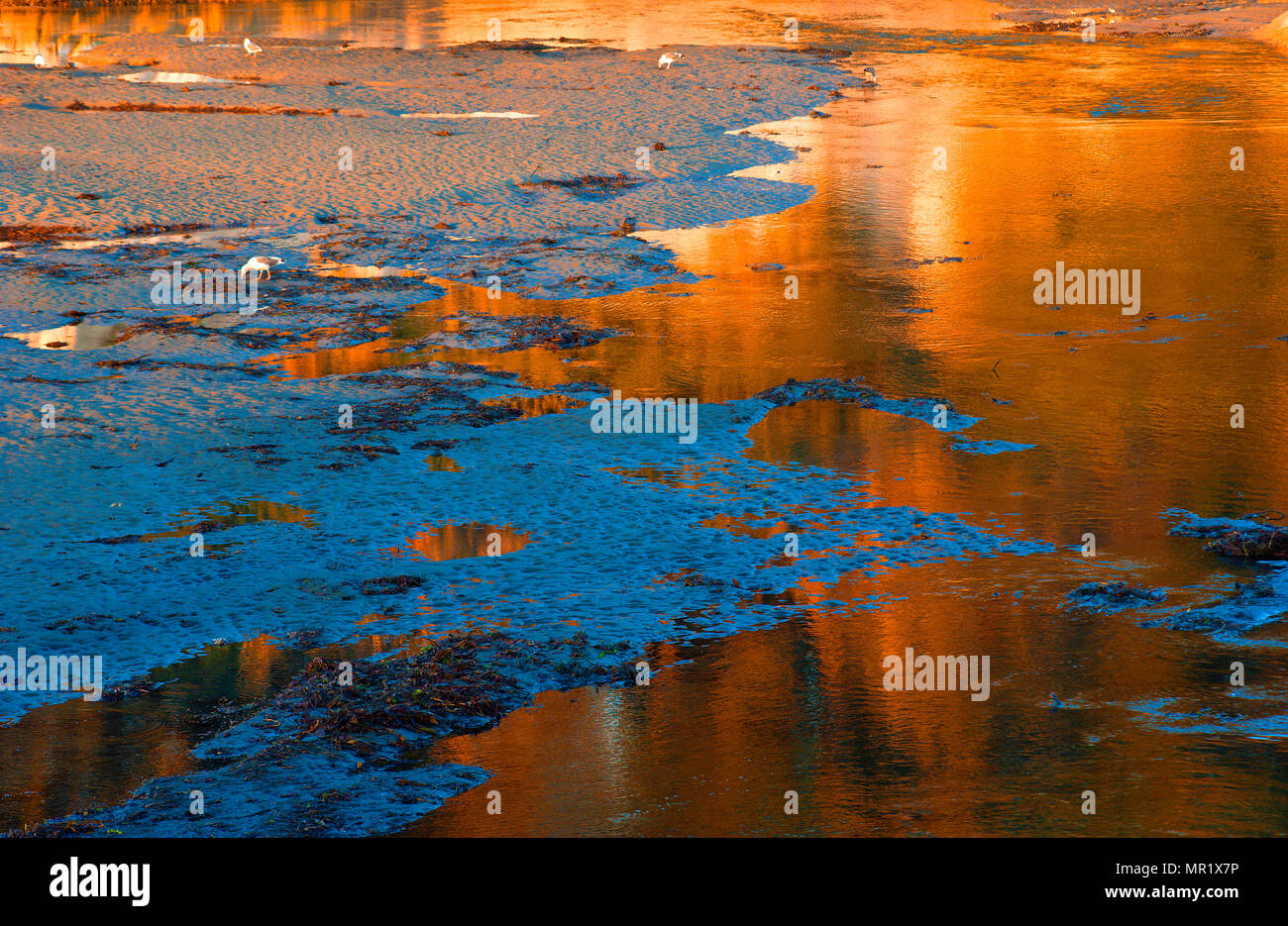 Water fill hi-res stock photography and images - Alamy