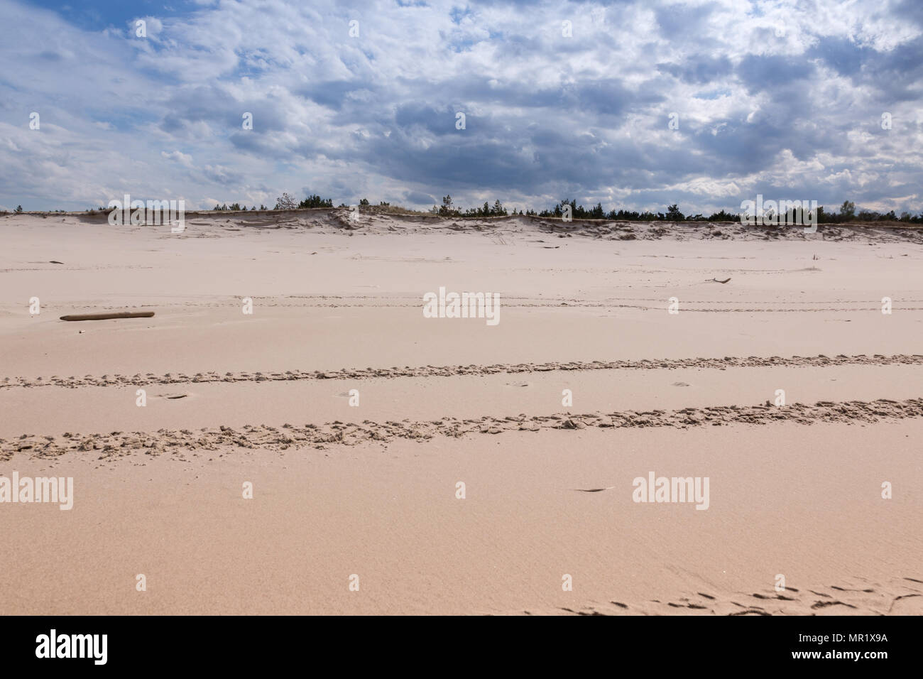 Dunes with dramatic sky near Leba, Poland. The dunes are the largest ...