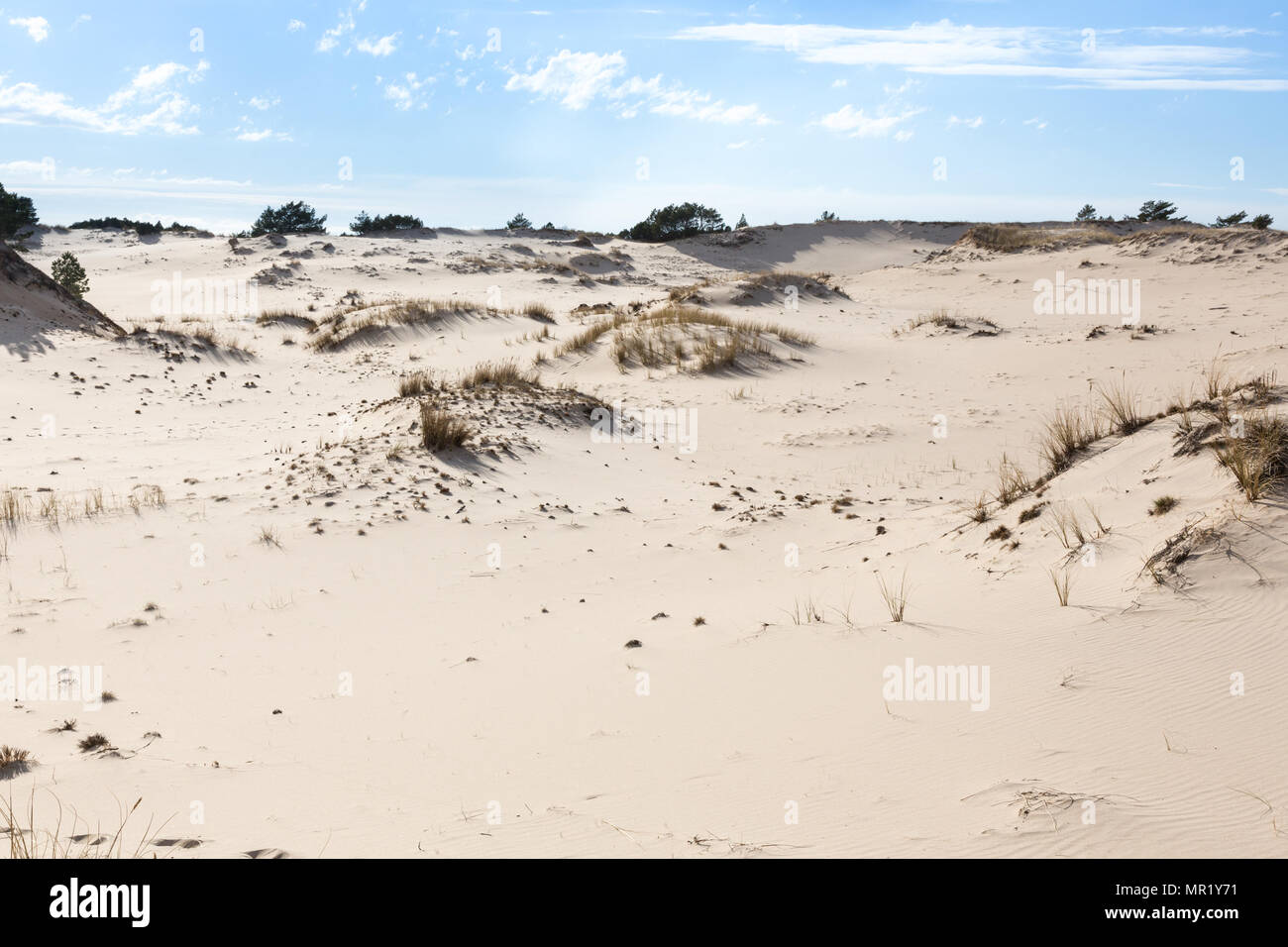 Moving dunes with dramatic sky near Leba, Poland. The dunes are the ...