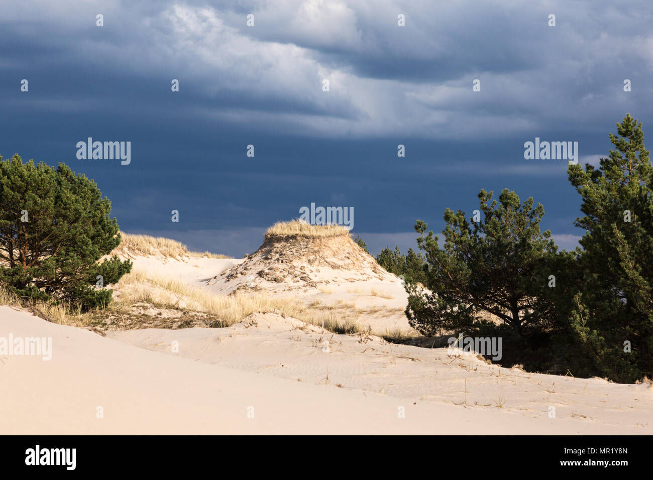 Moving dunes with dramatic sky near Leba, Poland. The dunes are the ...