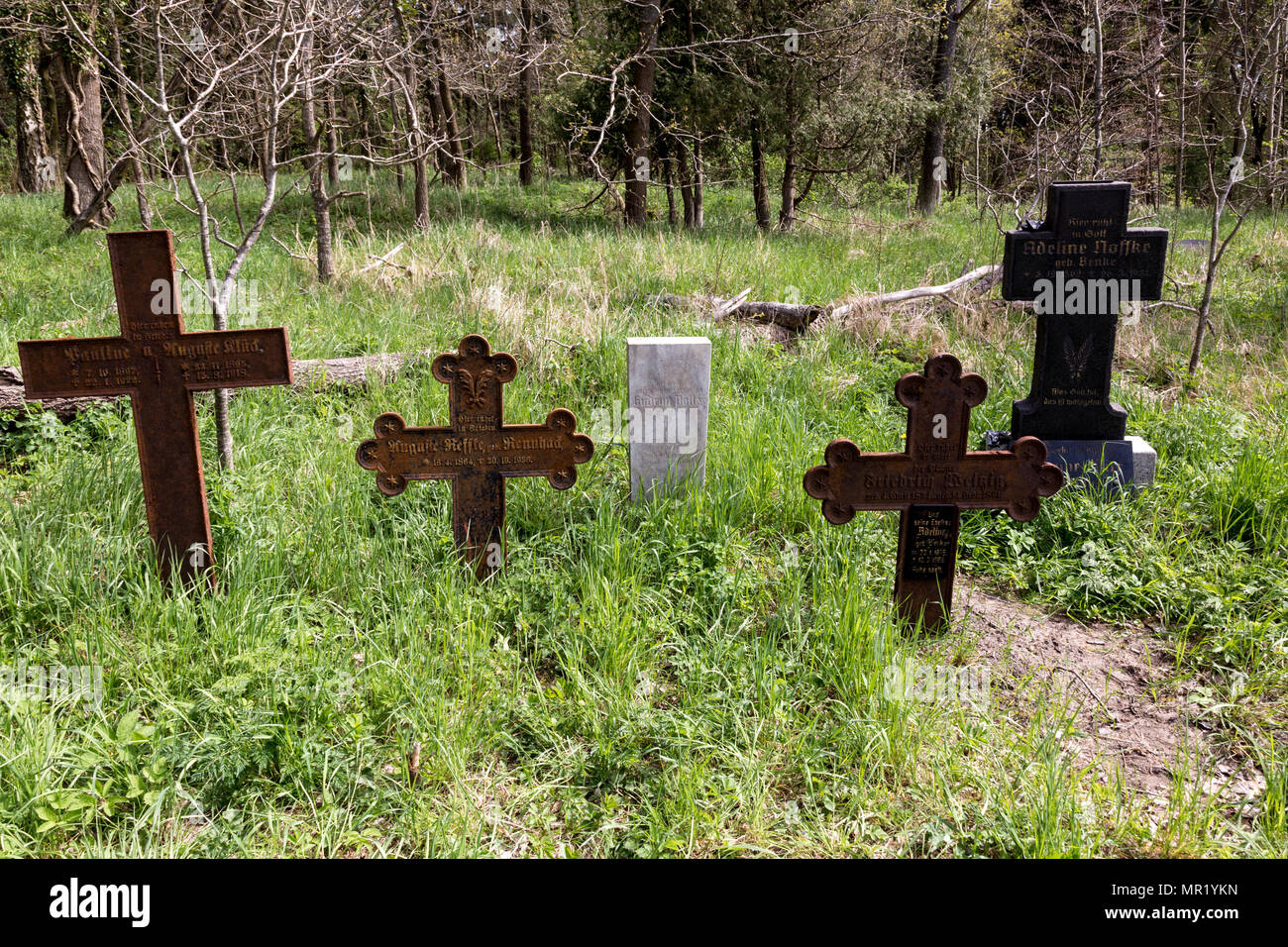 Old abandoned German cemetery on the Polish coast by the village of ...