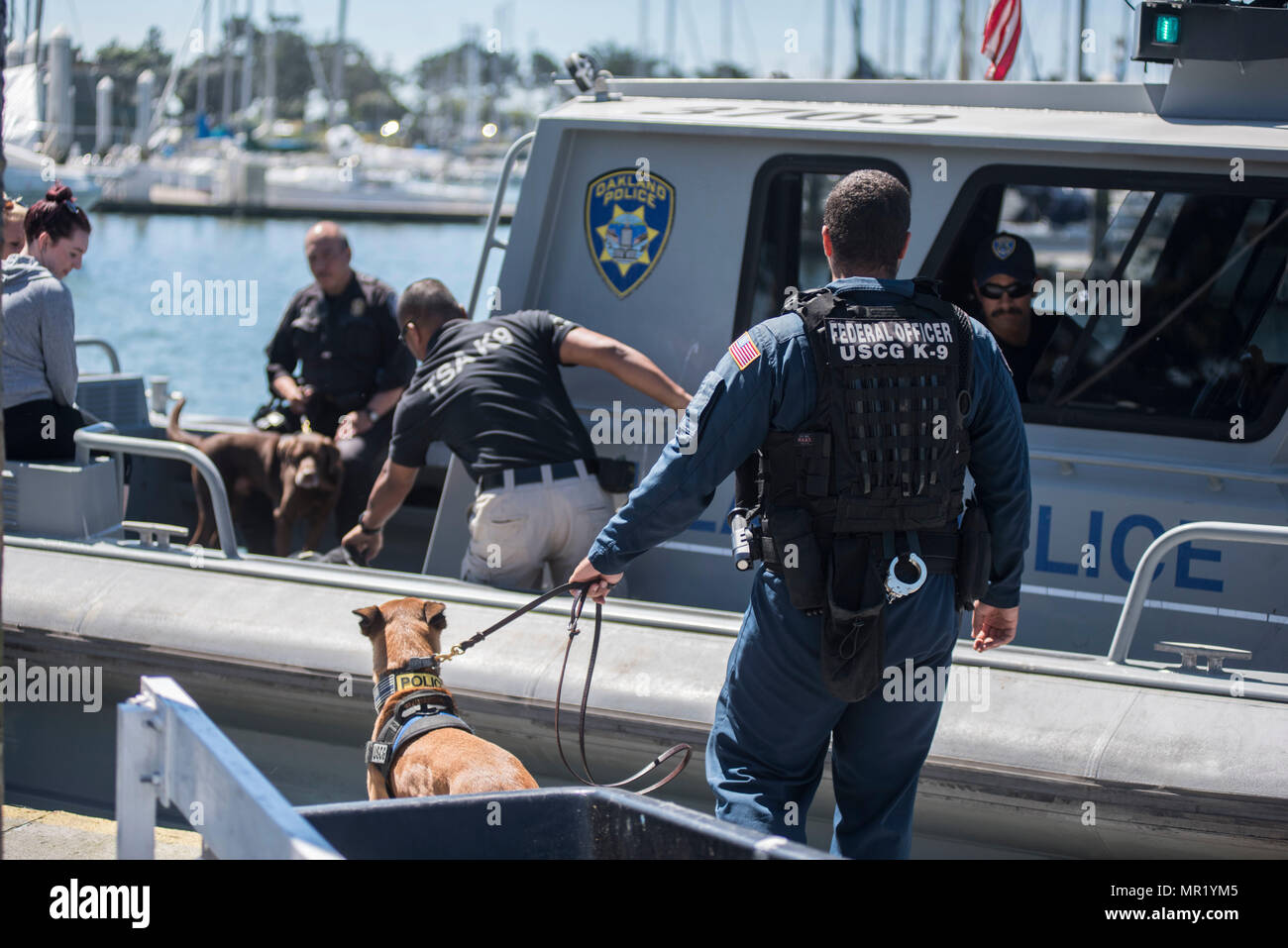 Jordan police vehicle hi-res stock photography and images - Alamy