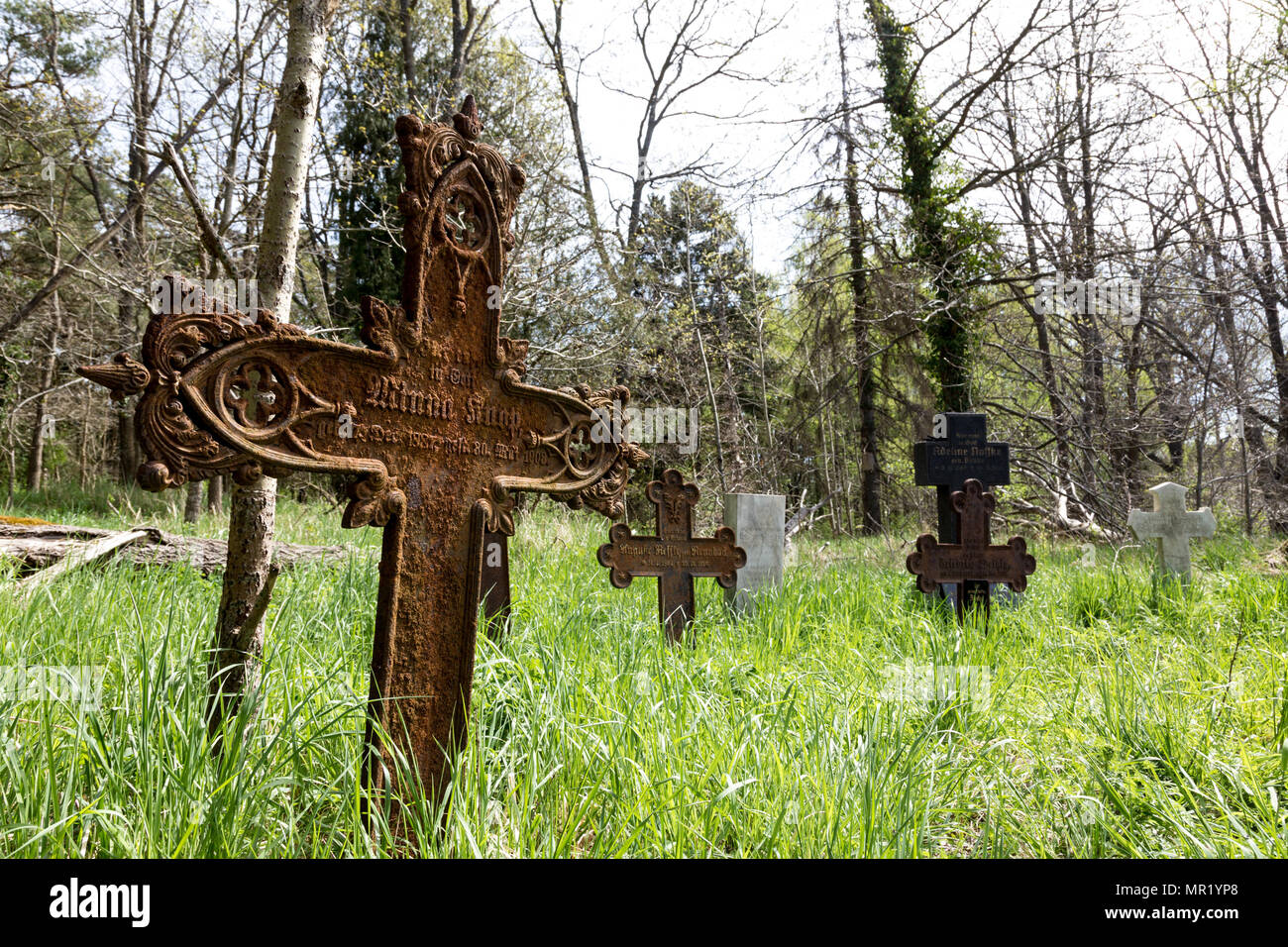 Old abandoned German cemetery on the Polish coast by the village of ...