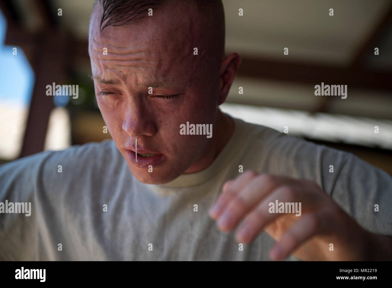 Daniel pepper hi-res stock photography and images - Alamy