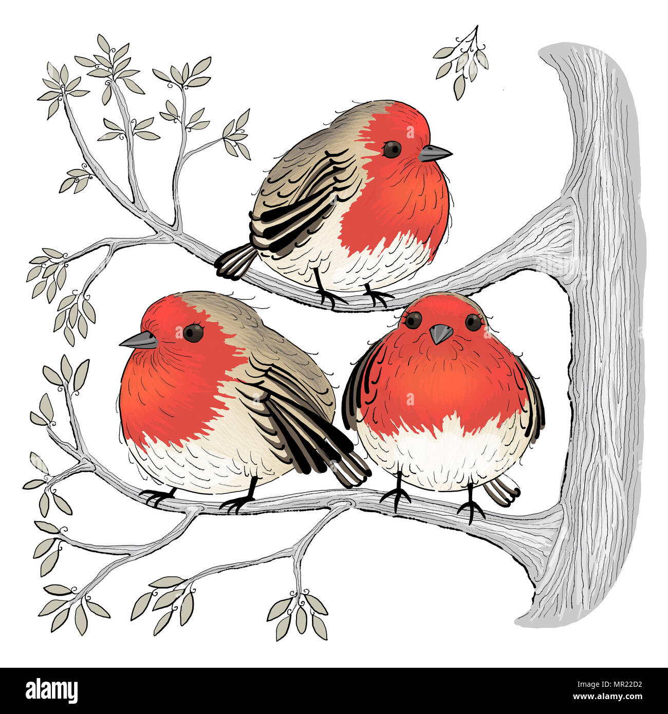 Robin Bird Drawing Drawing Stock Photos & Robin Bird Drawing Drawing ...