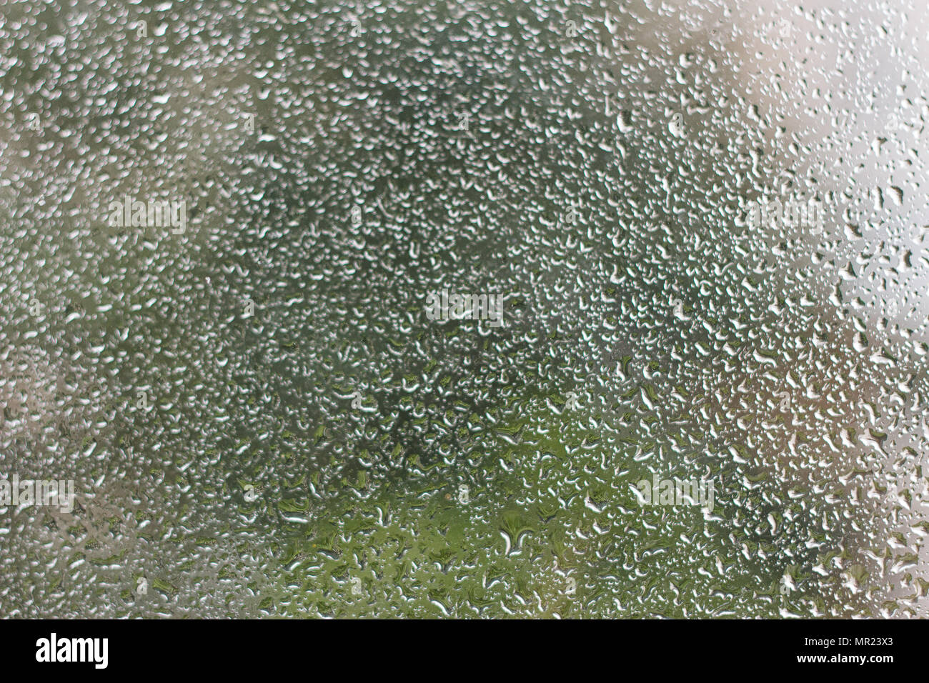 Drops of rain on the window behind the glass green trees Stock Photo ...