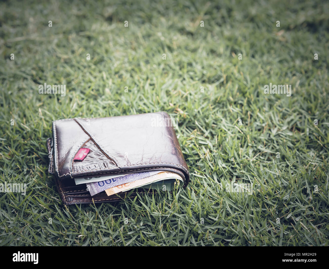 Lost leather wallet with money on green grass background, lost money ...