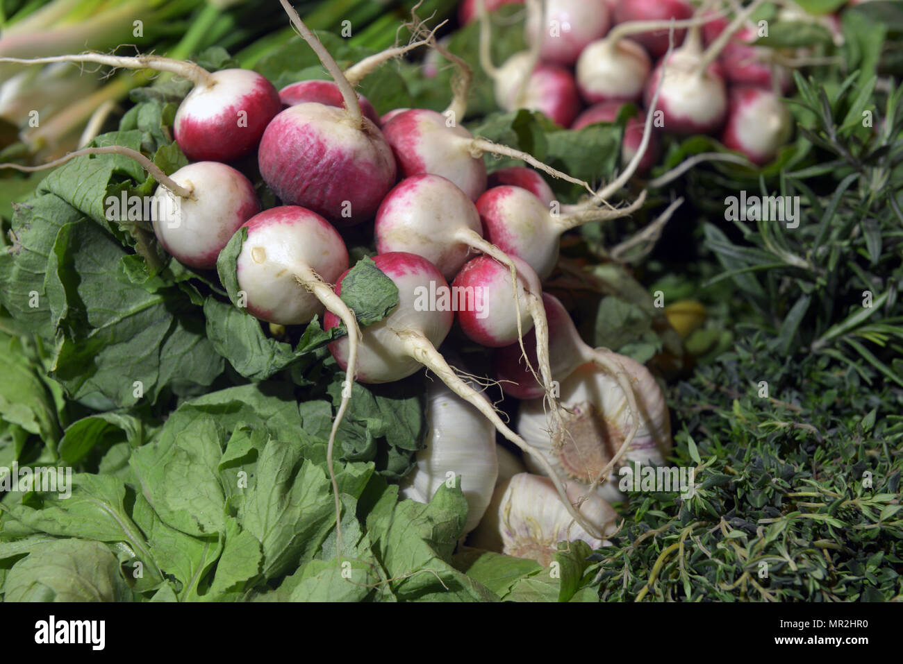 radish and vegetables in the supermarket Stock Photo - Alamy