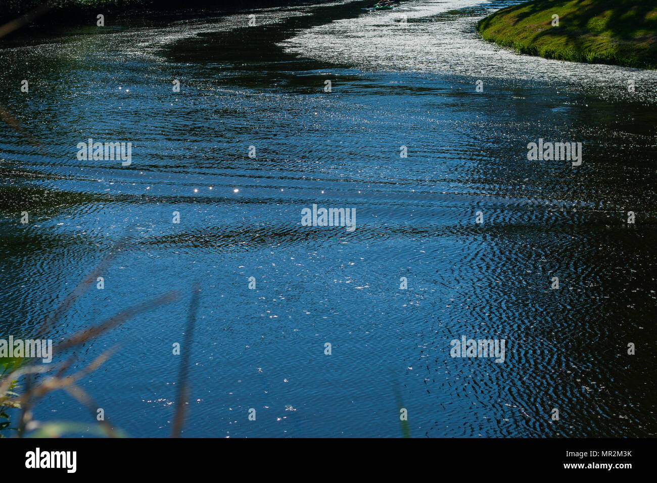 Bothell hi-res stock photography and images - Alamy