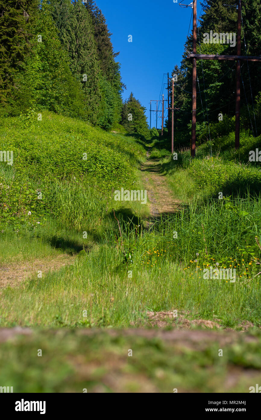 Summer photos hi-res stock photography and images - Alamy