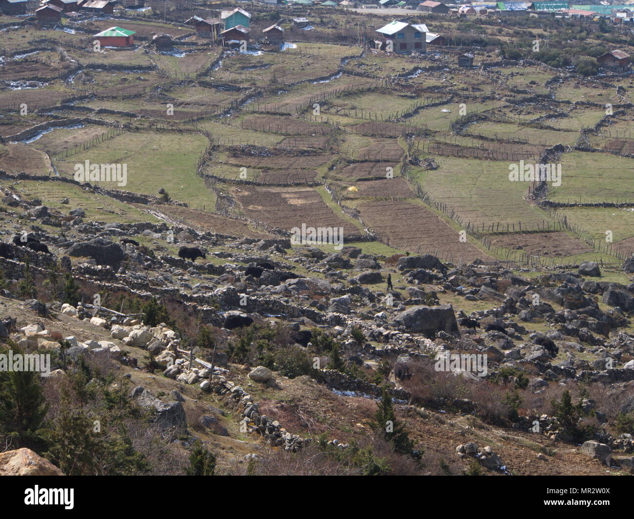 Road Trip to Yumthang Valley ,Sikkim INDIA , 15th APRIL 2013. Yumthang ...