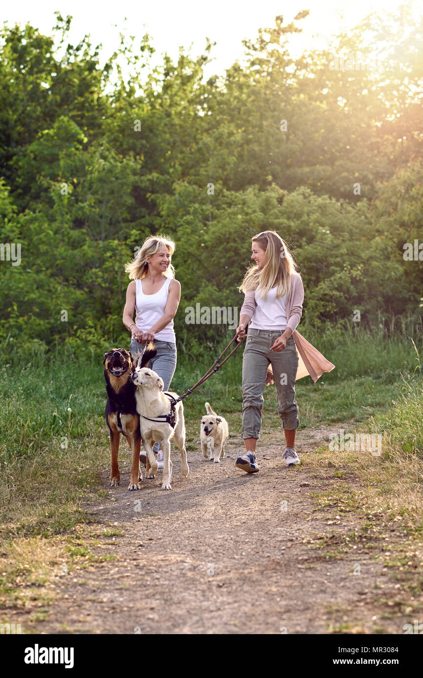 Happy laughing young women walking their dogs along a grassy rural ...