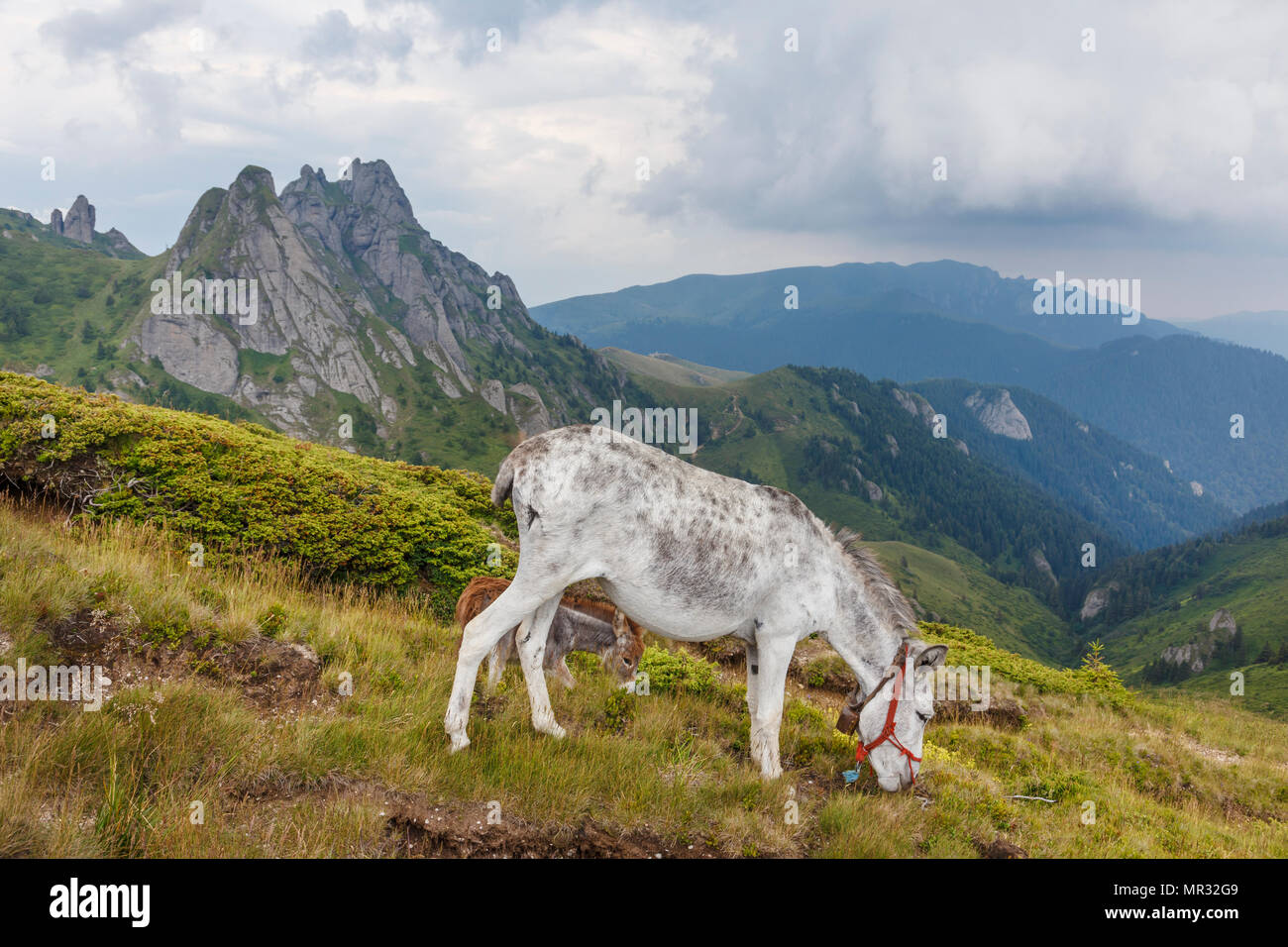 Romania countryside hi-res stock photography and images - Alamy
