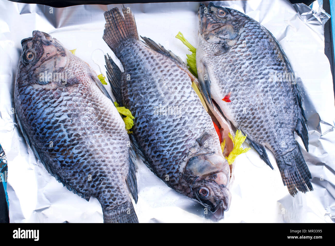 Fat tilapia hi-res stock photography and images - Alamy