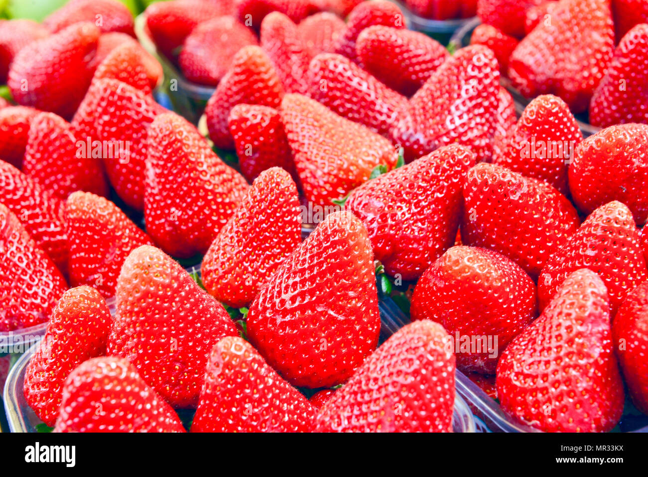 Strawberries in a box on the counter Stock Photo - Alamy