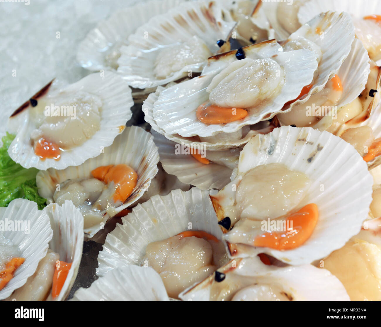 scallops in the shell in the market Stock Photo - Alamy