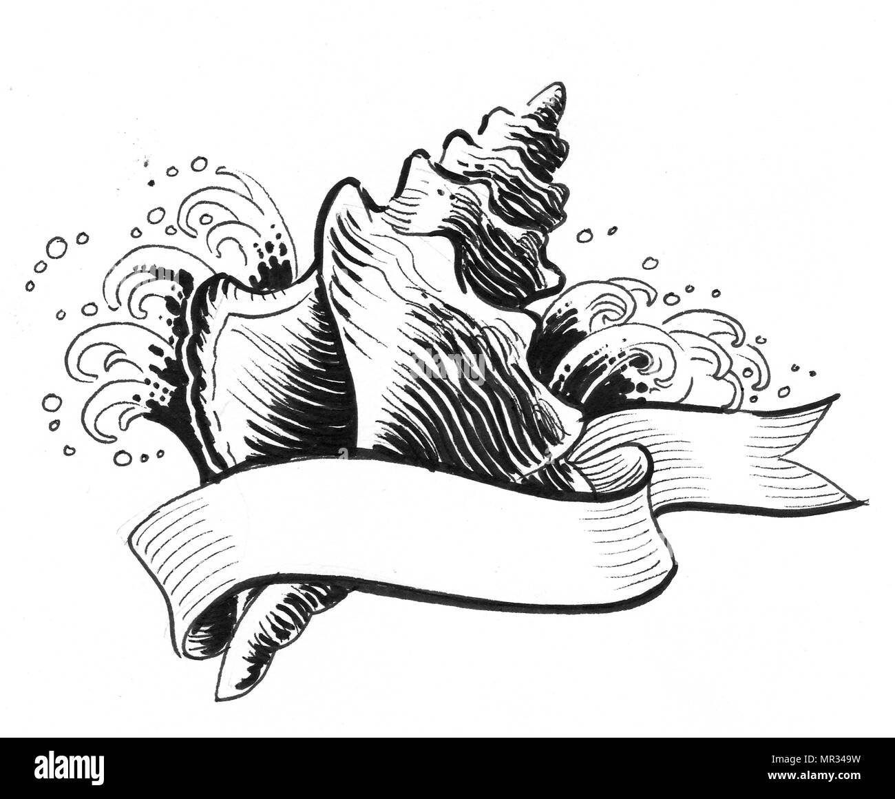 Seashell and banner. Ink black and white drawing Stock Photo - Alamy
