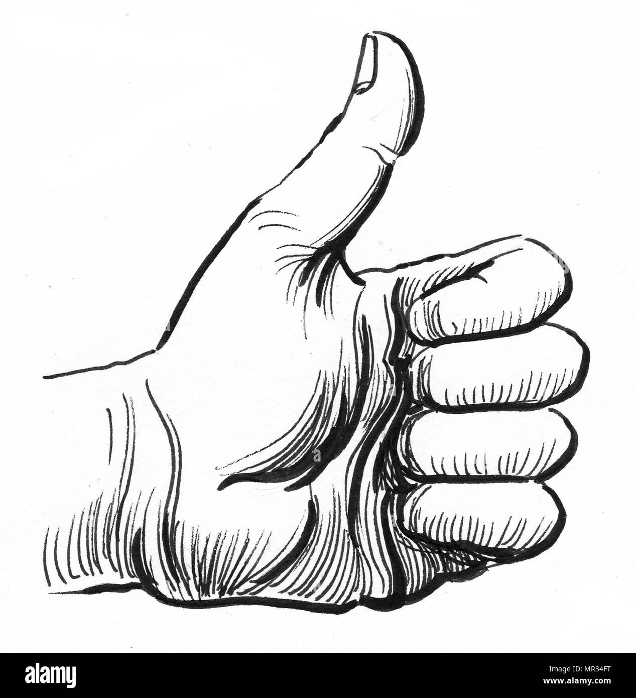 Showing sketch drawing Cut Out Stock Images & Pictures - Alamy