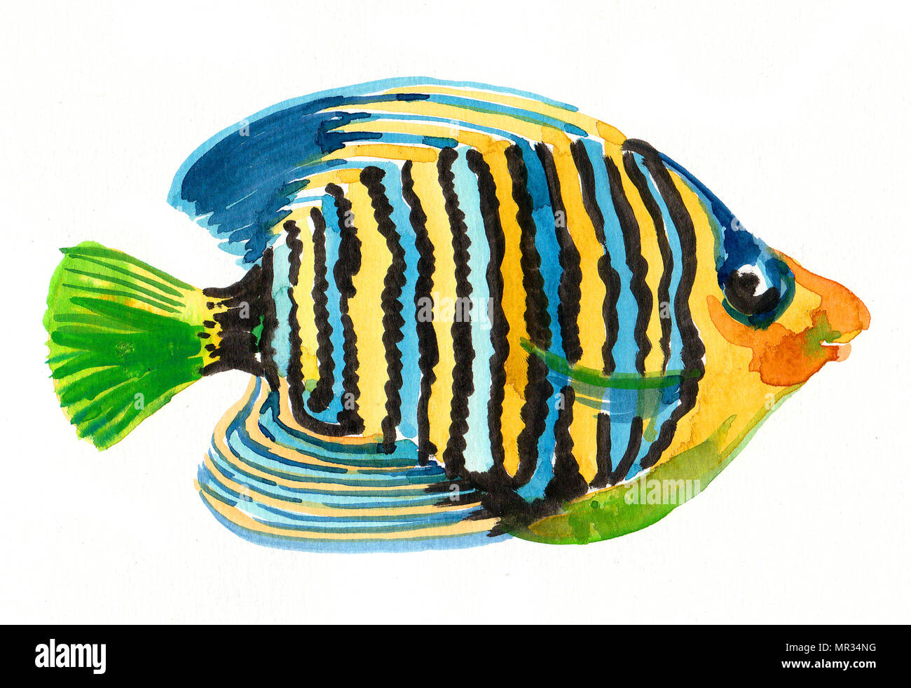 Watercolor painting of a tropical fish Stock Photo - Alamy