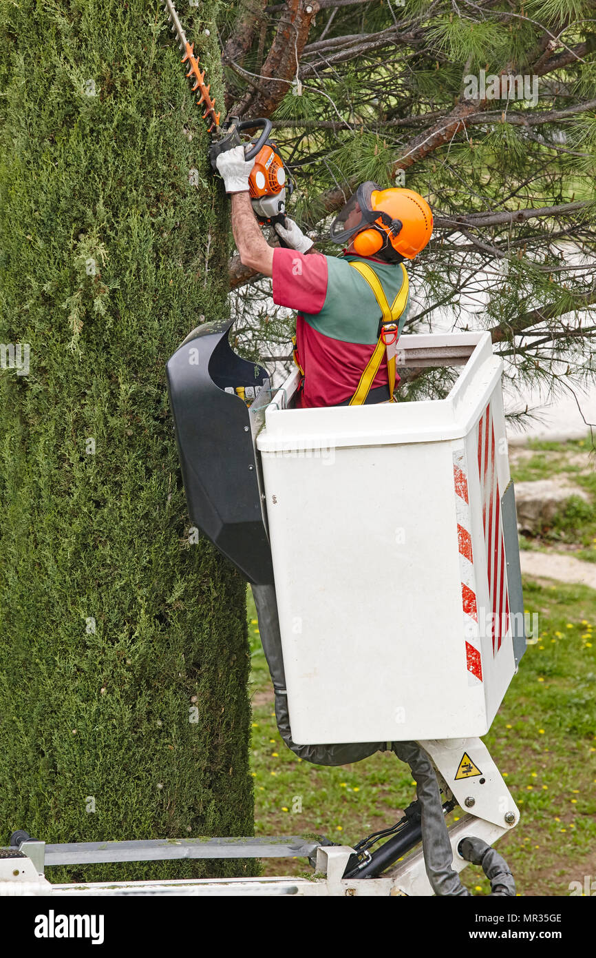 Equiped worker pruning a tree on a crane. Gardening works Stock Photo ...