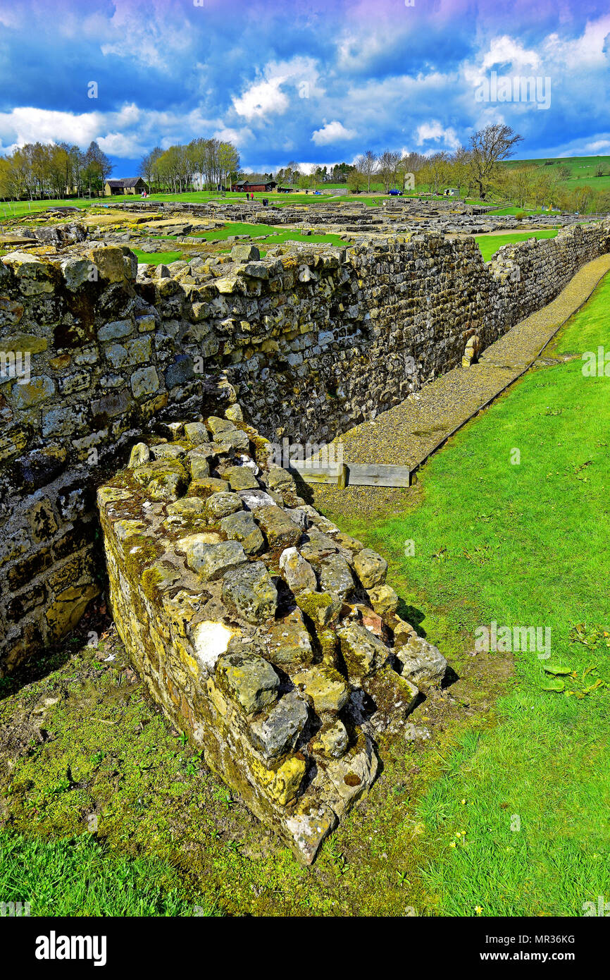 Vindolanda roman archaeological site northumberland hi-res stock ...