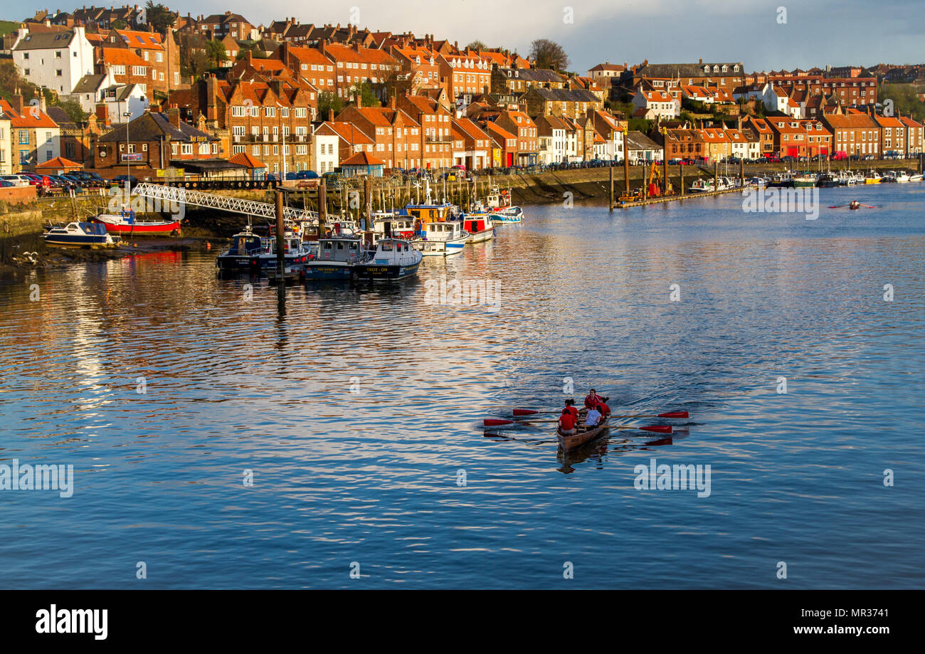 Bewater hi-res stock photography and images - Alamy