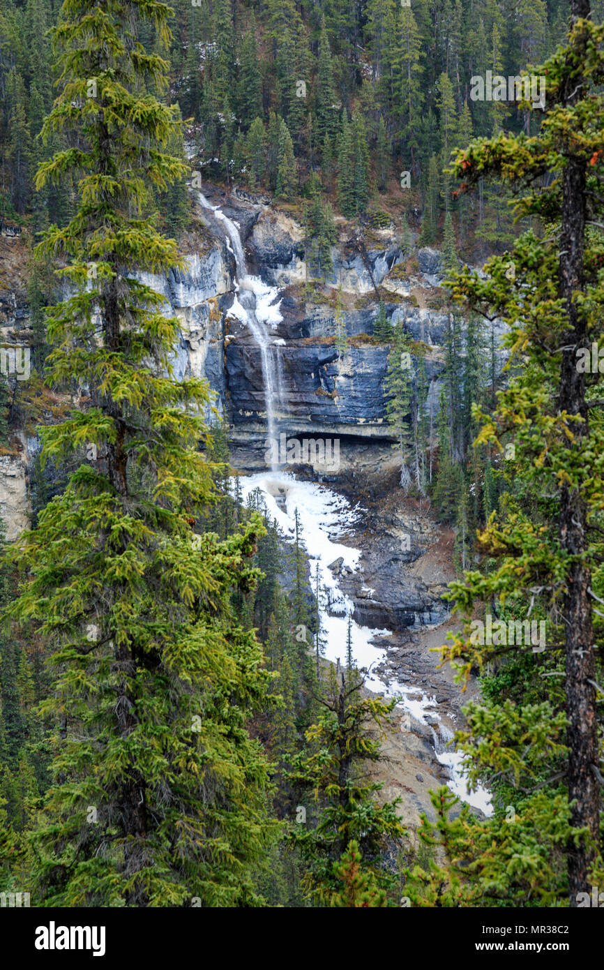 Waterfall on Icefields Parkway, Banff National Park, Canada Stock Photo ...
