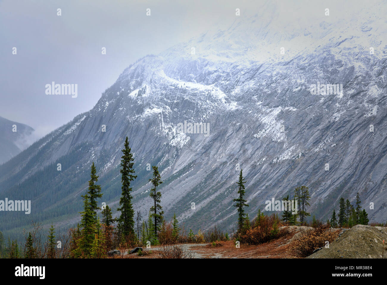 Parker Ridge from Icefields Parkway, Banff National Park, Canada Stock ...