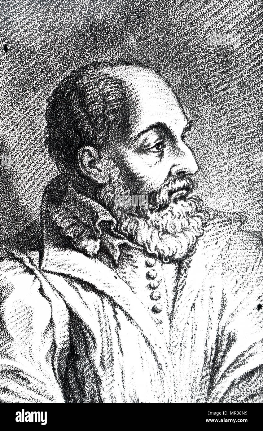 Ramus hi-res stock photography and images - Alamy