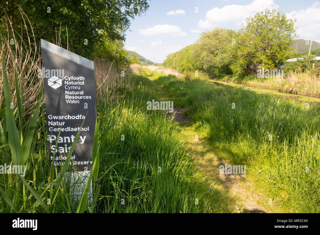 Pant y Sais Nature Reserve, and the Tennant Canal, Jersey Marine, near ...