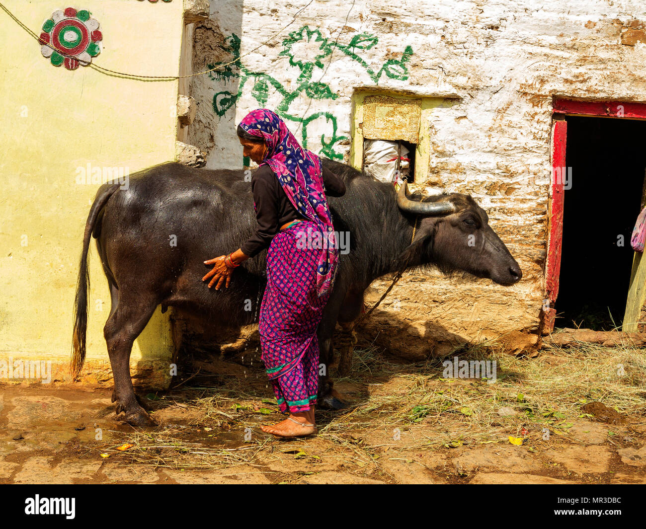 Indian womans at their daily routine at remote Sanouli Village, where ...