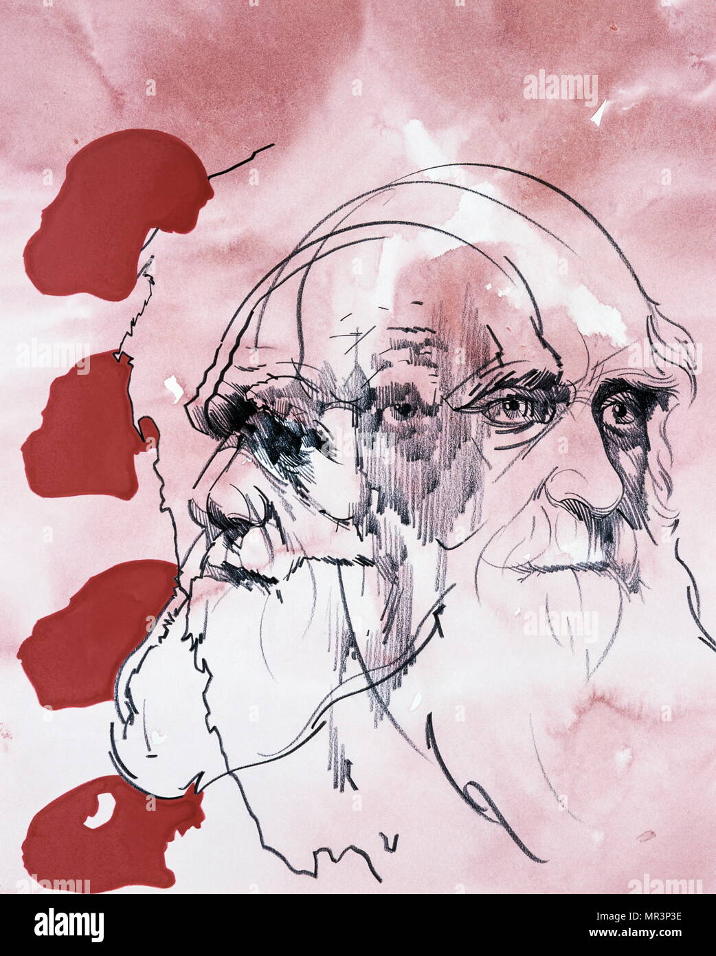 Charles Darwin, (1809 – 1882);English naturalist, geologist and ...