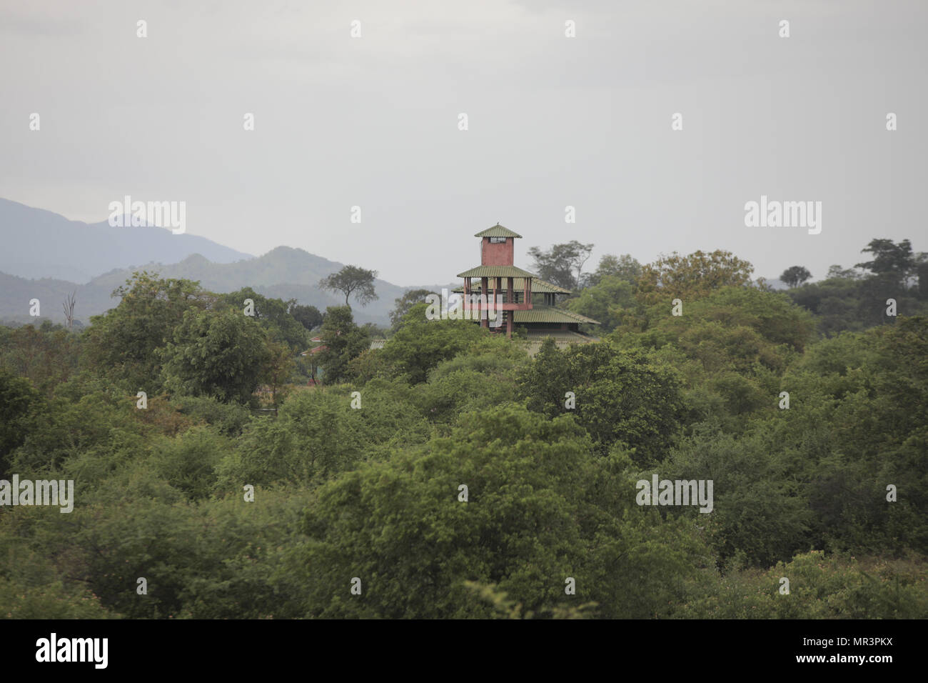 Building standing on a hill in the rainforest Stock Photo - Alamy