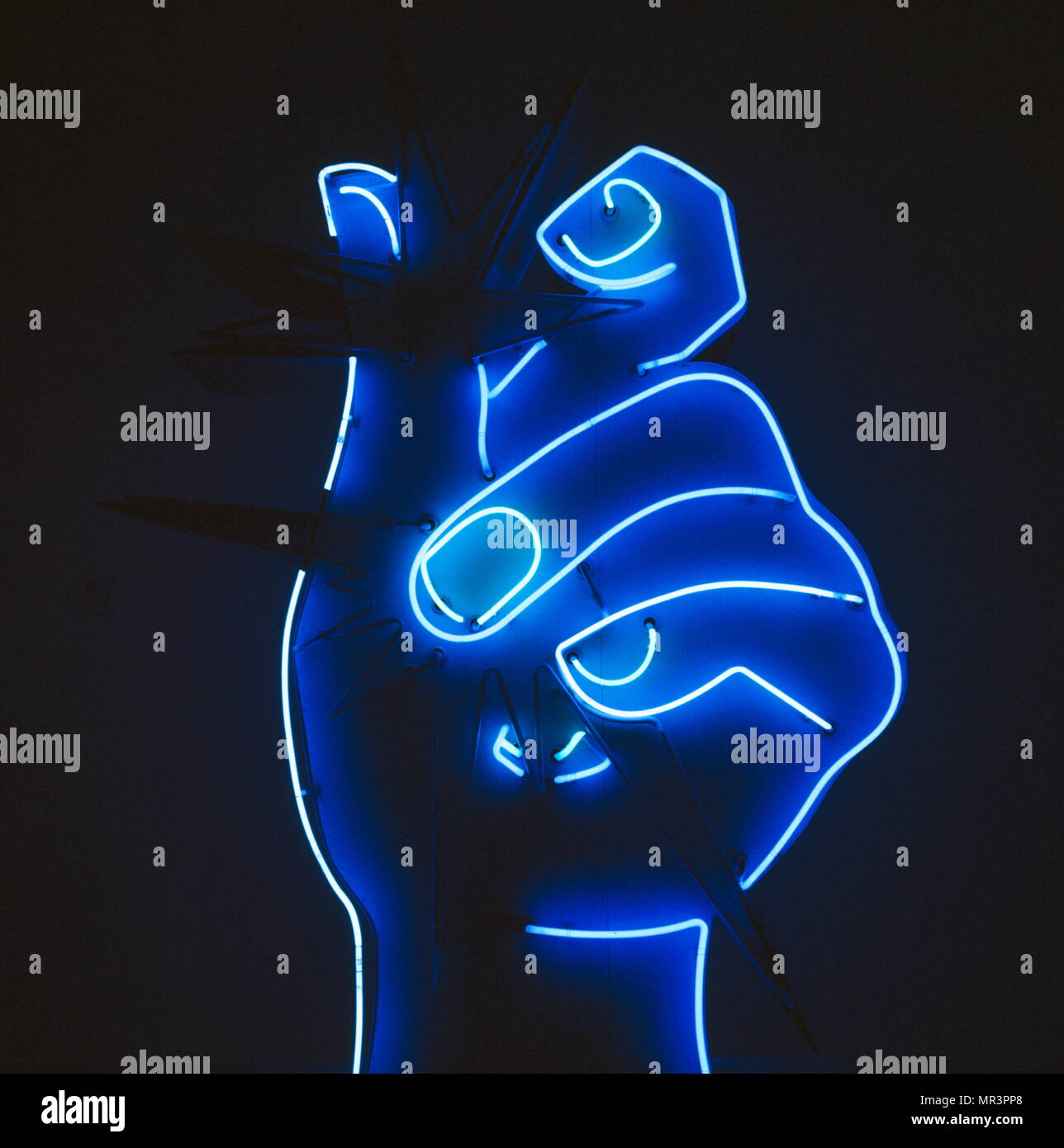 America, America (1964) in neon and metal paint, by Martial Raysse ...