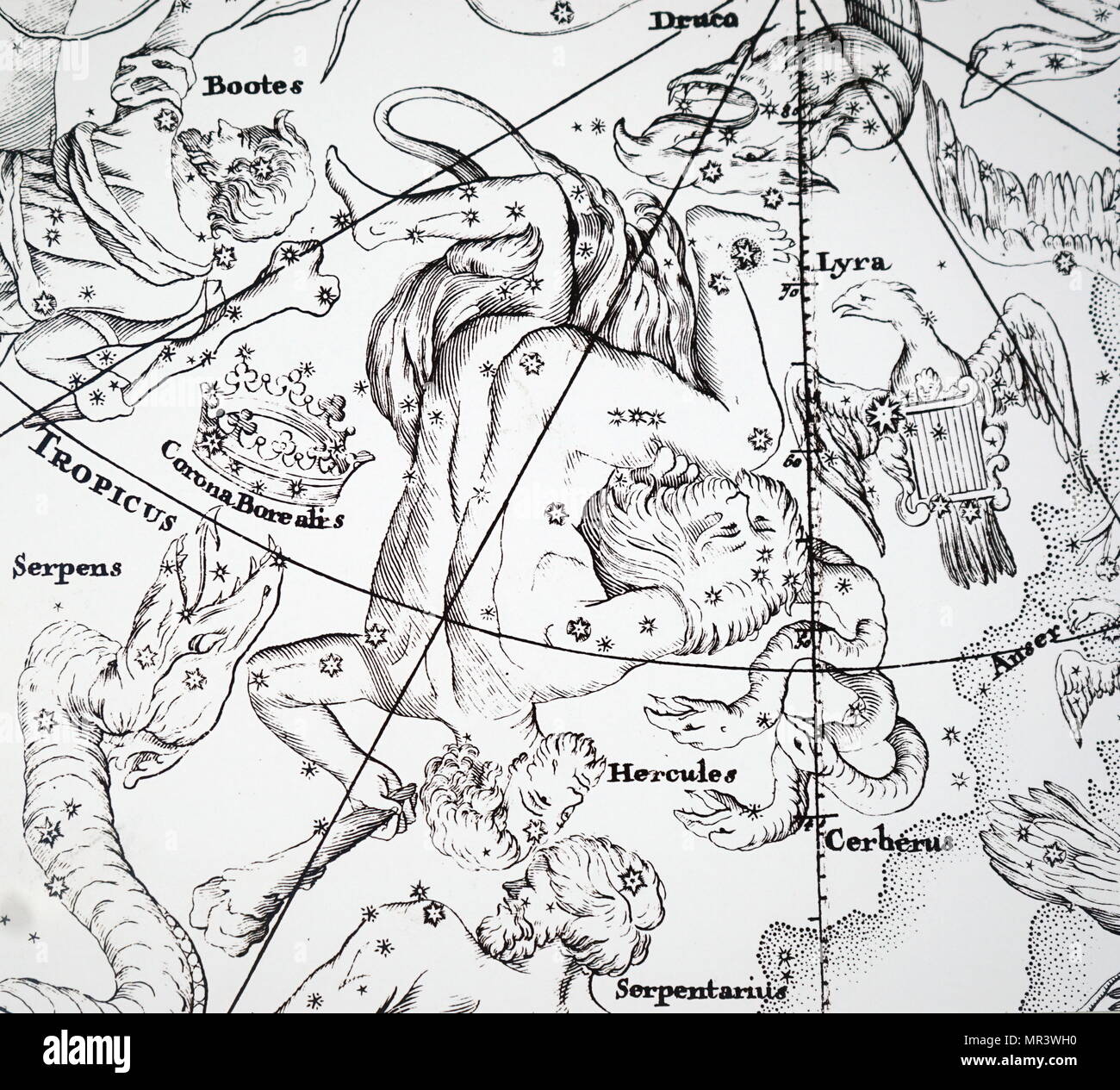 Chart showing the constellation of Hercules. Dated 18th century Stock ...