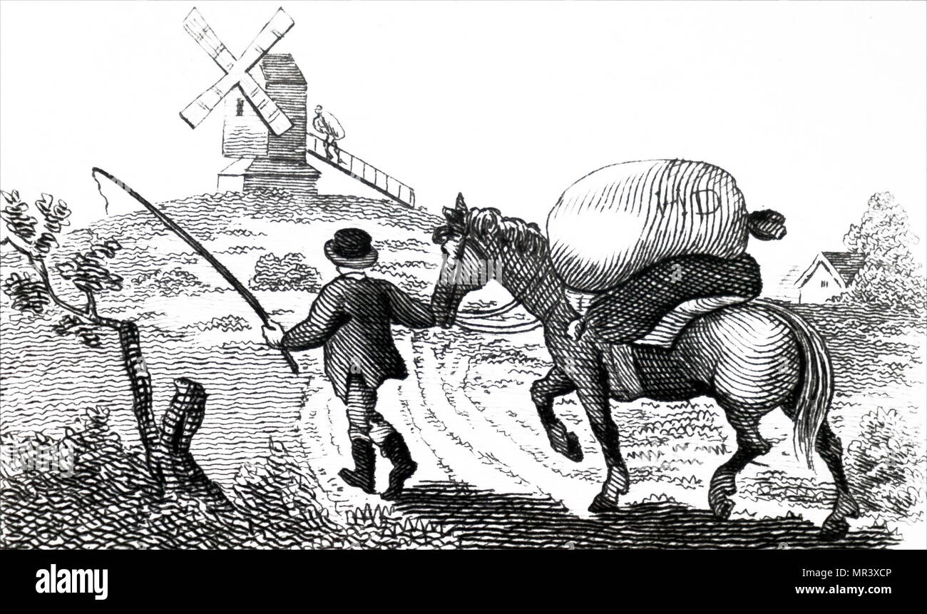 Engraving depicting a mule carrying sacks of grain to the mill for ...