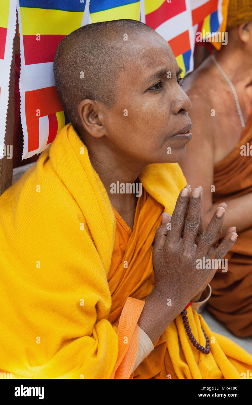 India, Bihar, Bodhgaya, A female Buddhist monk prays at the Mahabodhi ...