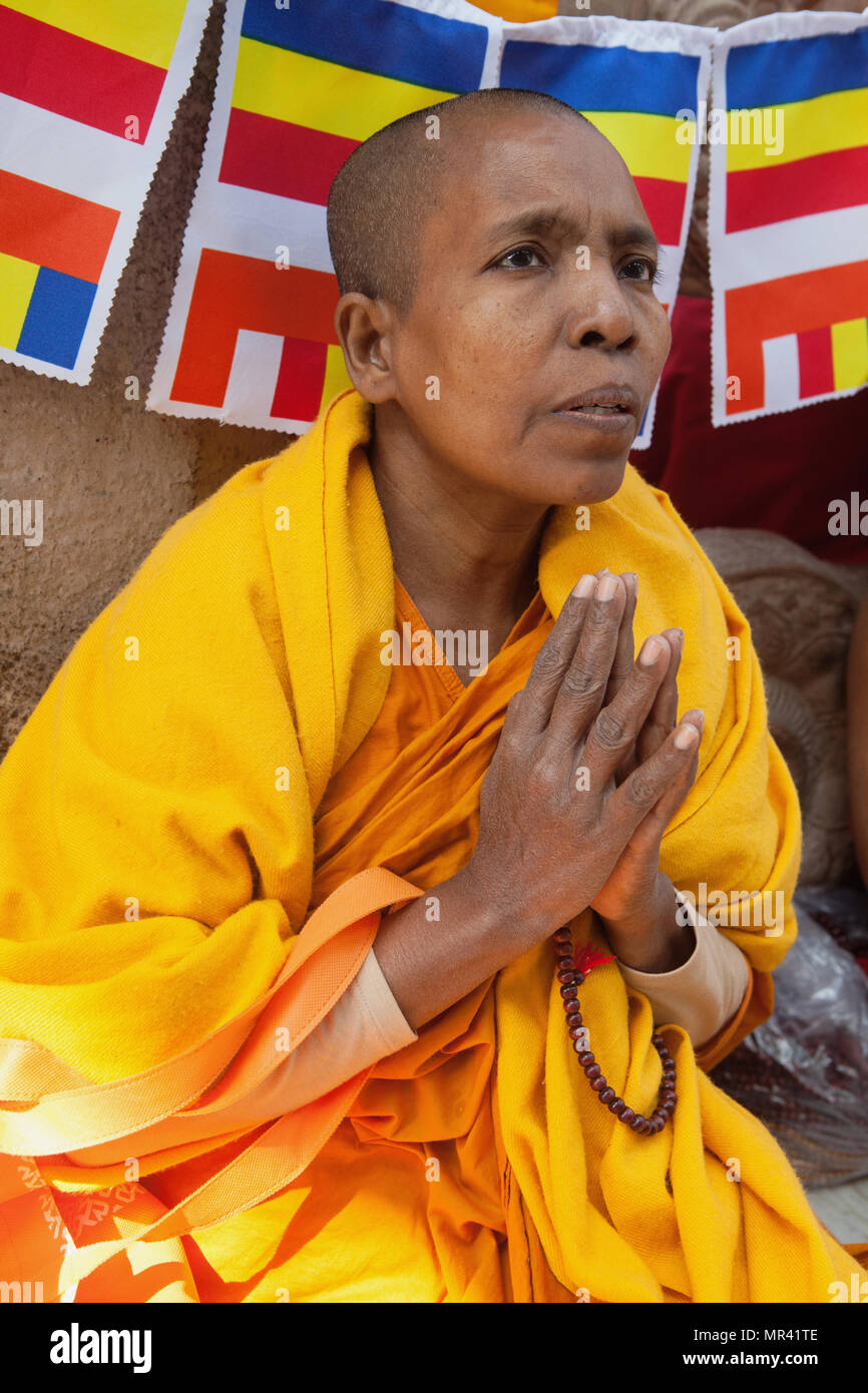India, Bihar, Bodhgaya, A Buddhist female monk prays at the Mahabodhi ...