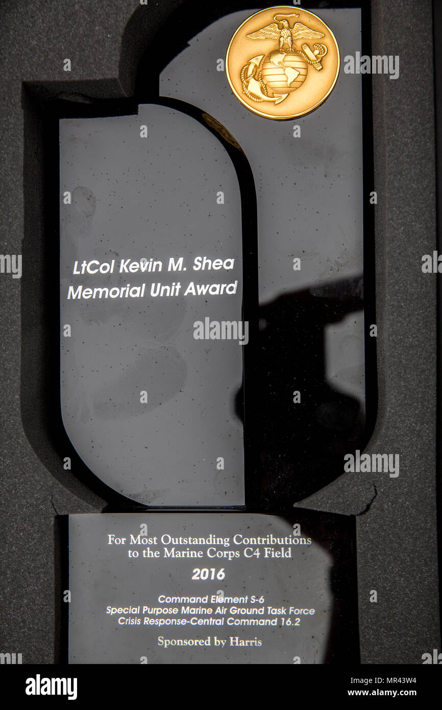 The 2016 Lt. Col. Kevin M. Shea Memorial Unit Award is presented for ...