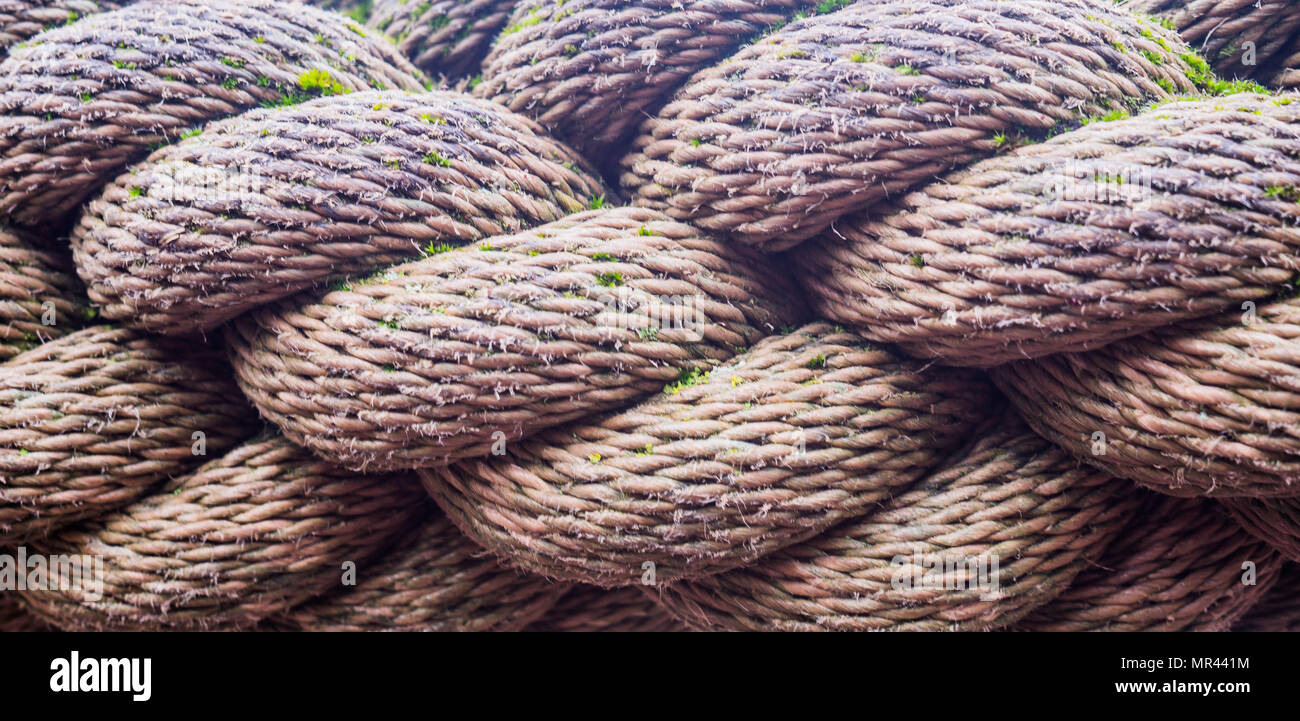 Old rope texture background, close up view Stock Photo - Alamy