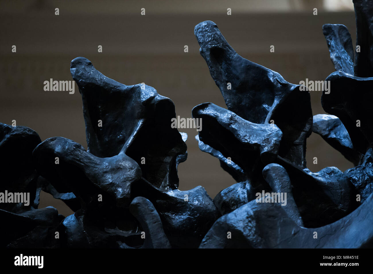 Dippy, The Natural History Museum's Diplodocus skeleton cast is ...