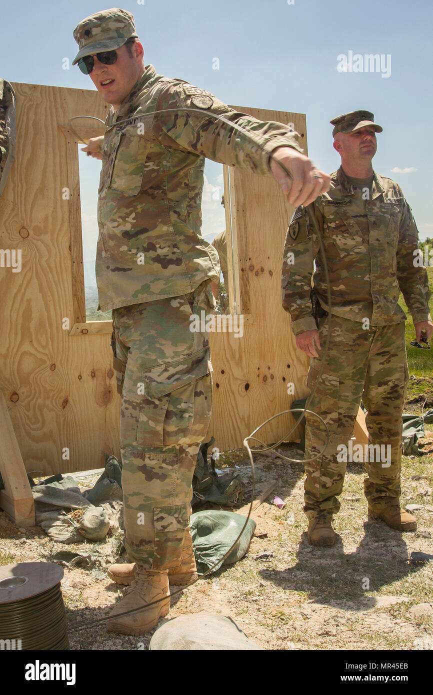 U.S. Army Spc. Nathaniel Born and Cpl. Stuart Harris, explosive ...