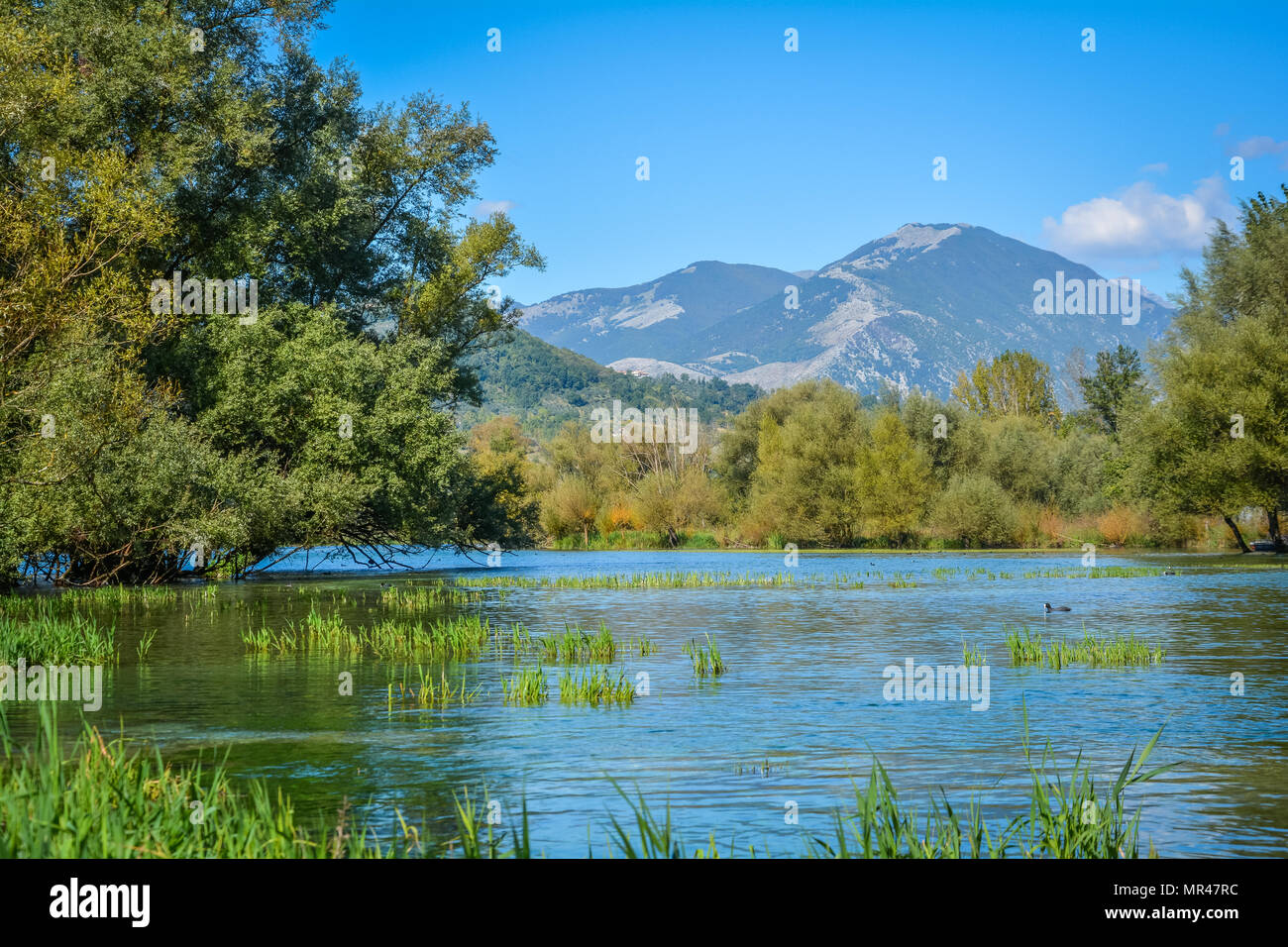 Posta fibreno lake natural reserve hi-res stock photography and images ...