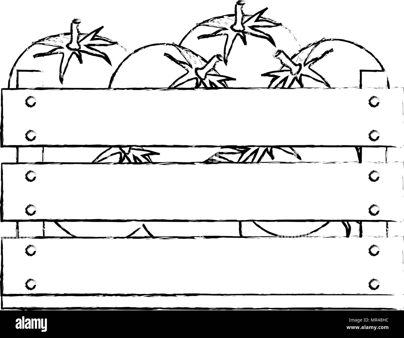 Tomatoes food packaging Stock Vector Images - Alamy